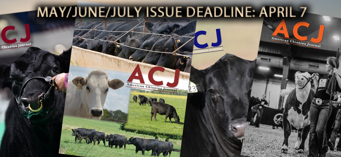 American Chianina Association